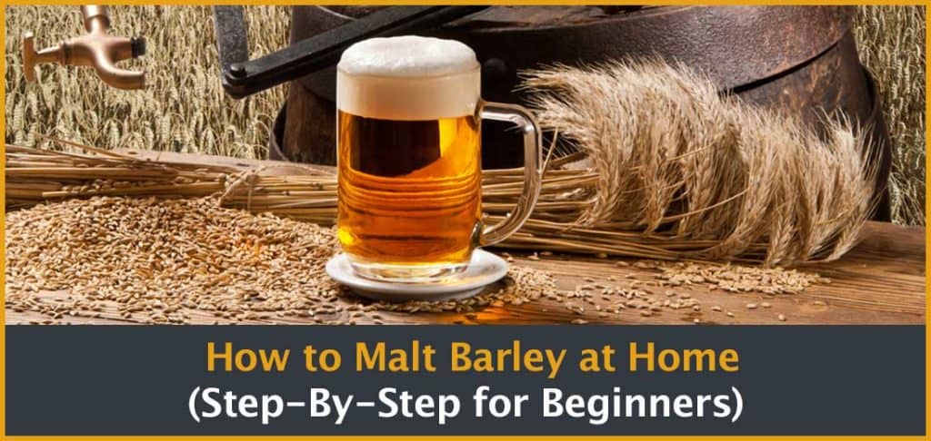 How to Malt Barley at Home | Step-by-Step Guide for Brewers