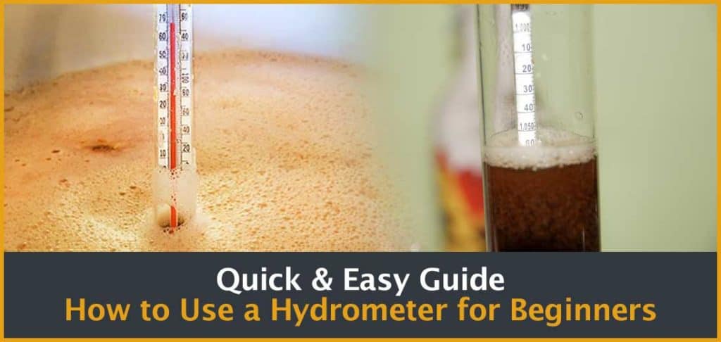 How to Use a Hydrometer to Measure Alcohol in 3 Easy Steps