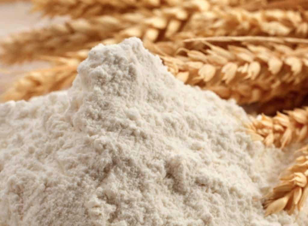 Beer Yeast Guide for Beginners: All the Different Types & Strains