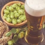 The 52Brews Guide: Hop Varieties and How to Use Hops in Brewing