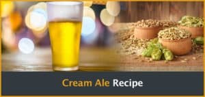 How To Make Cream Ale in 2 Easy Steps: Our Homebrew Recipe