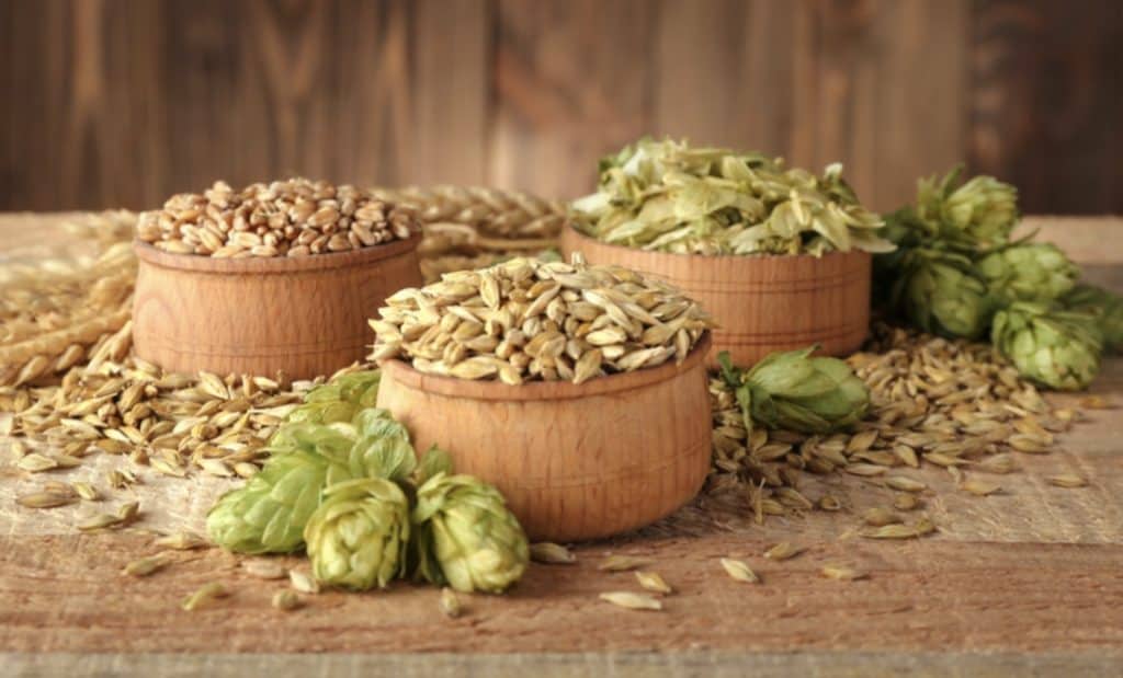 How To Make Cream Ale in 2 Easy Steps: Our Homebrew Recipe