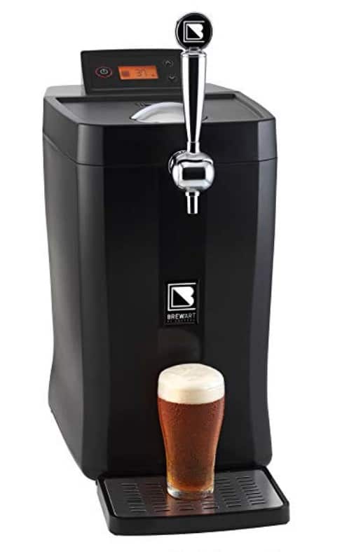 The 5 Best Mini Kegerators Reviewed (2020 Updated)