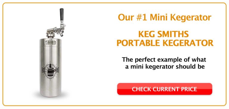 The 5 Best Mini Kegerators Reviewed (2020 Updated)