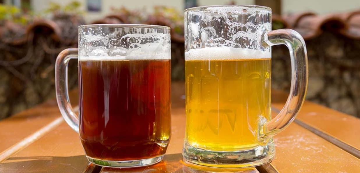 Lager vs Ale: What's the Difference?