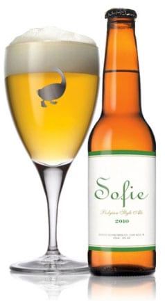 The 15 Best Saison Beers | Best Belgian Saison Beers