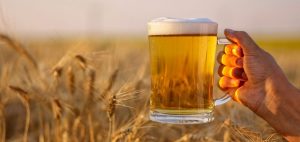 7 Different Types of Breweries - 52Brews.com